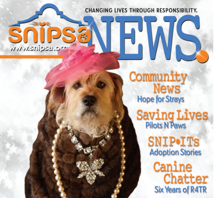 Newsletter - Snipsa