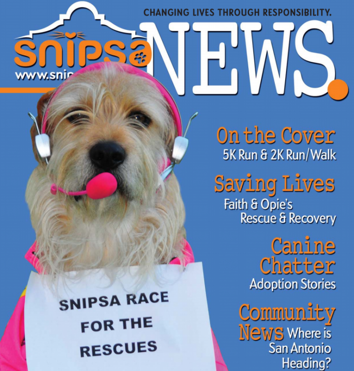 Newsletter - Snipsa