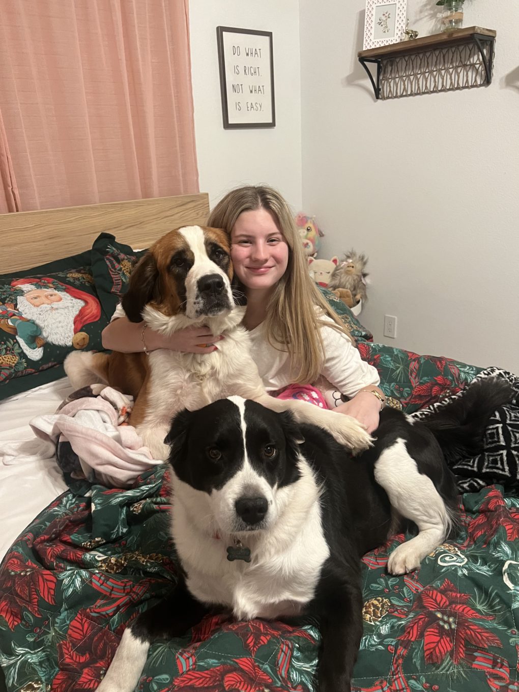 Rescue Tails - Snipsa