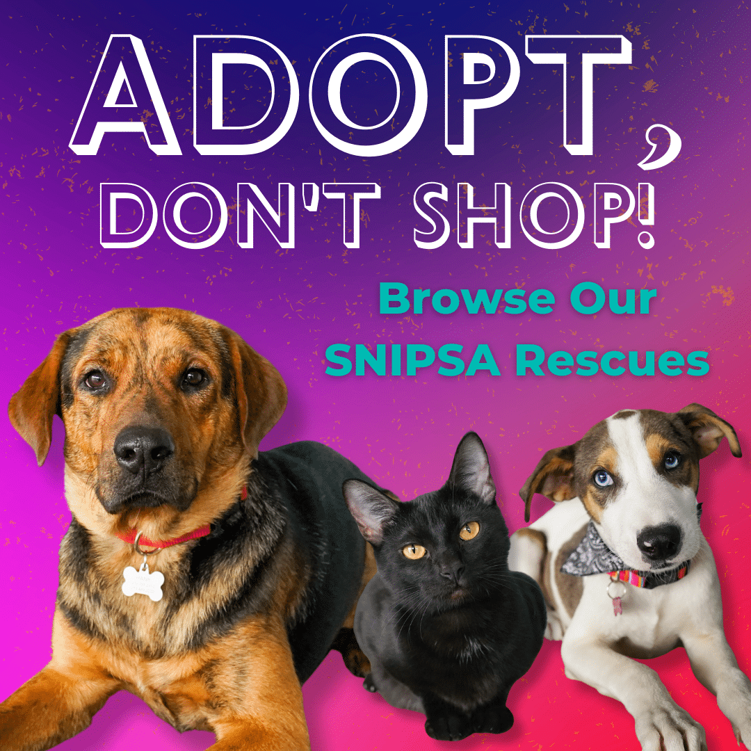 Home - Snipsa