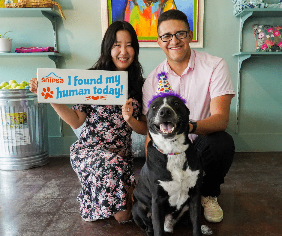 Adopting With SNIPSA - Snipsa